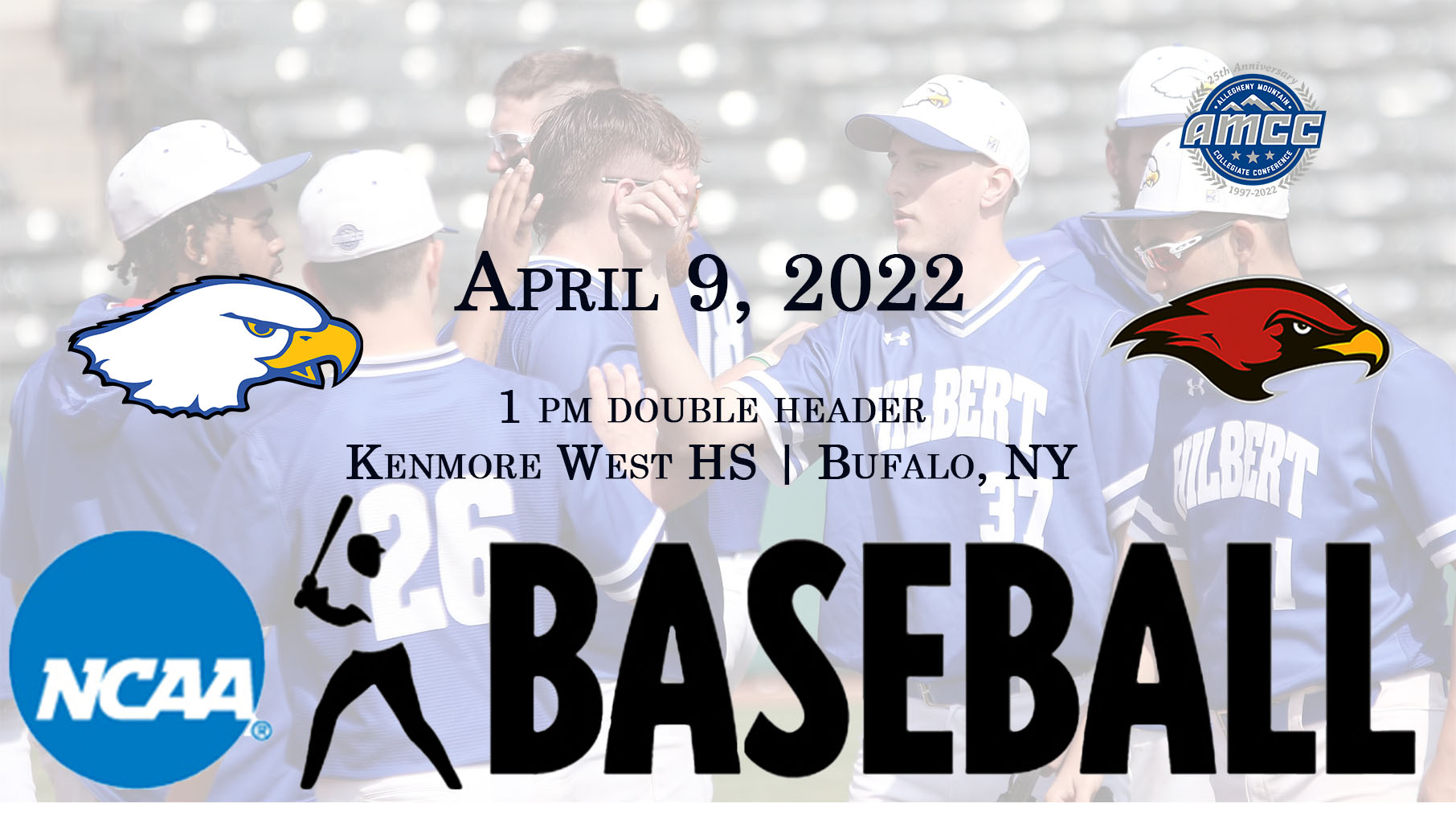 Baseball vs La Roche