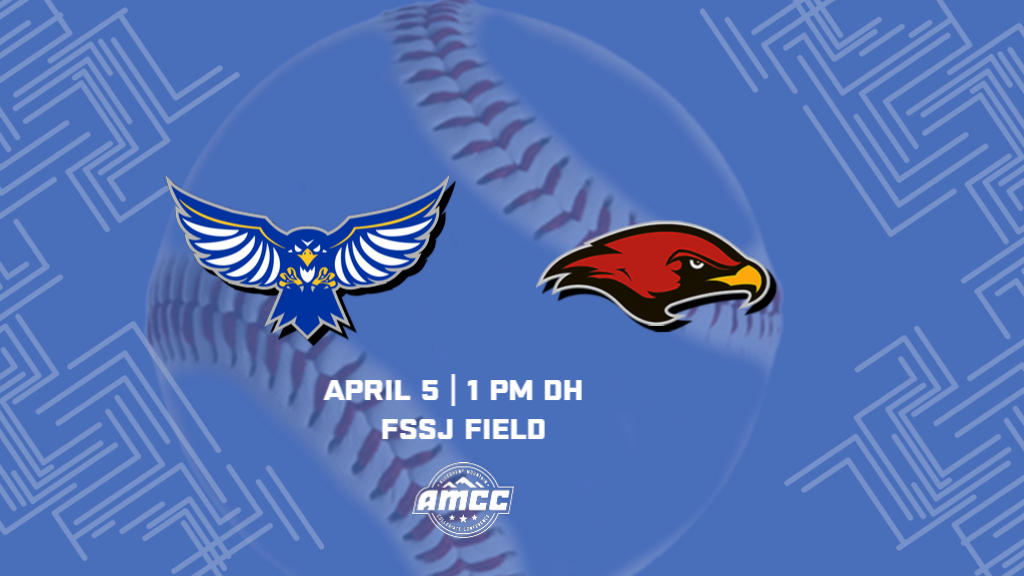 Baseball vs La Roche