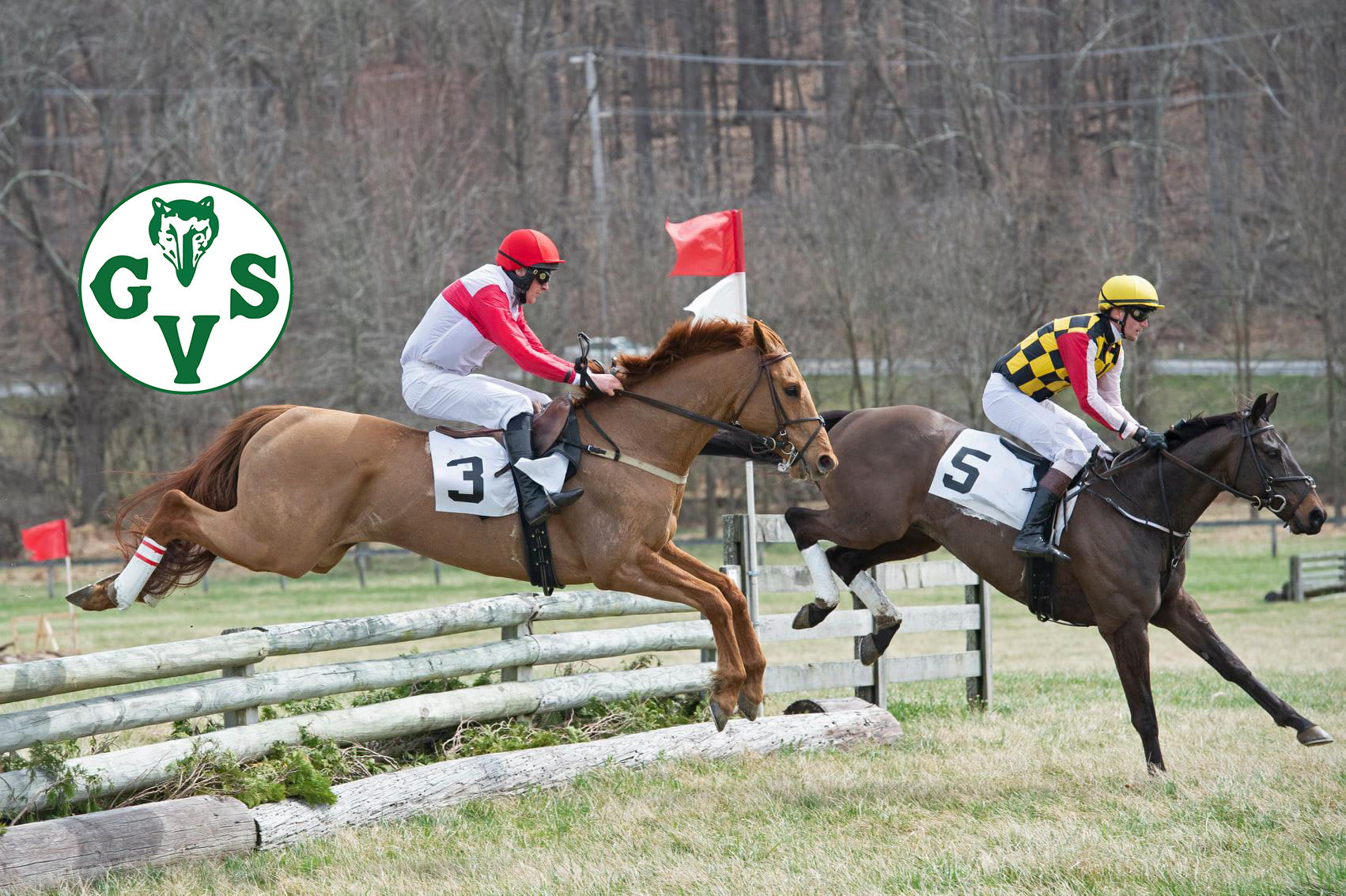 Green Spring Valley Hounds' Point-to-Point