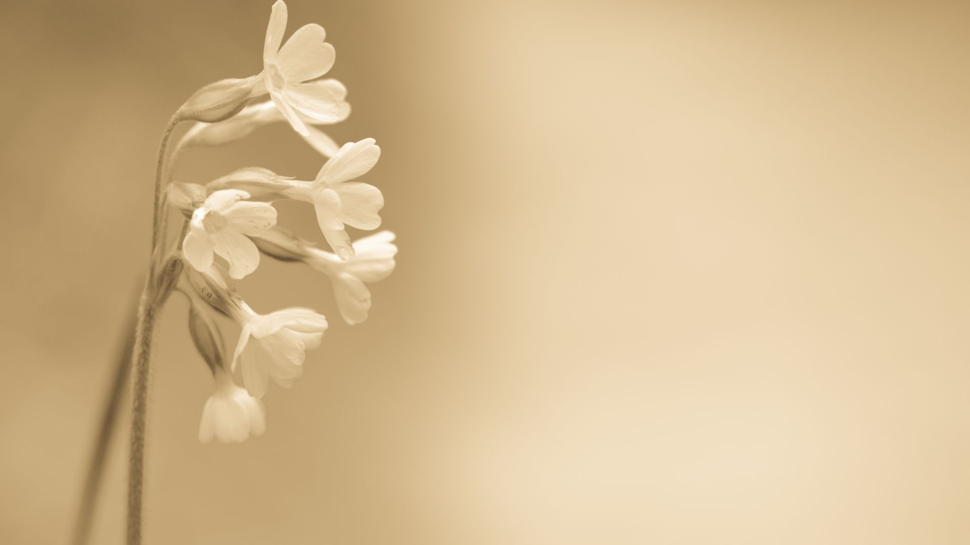 Colin Landers Funeral Service