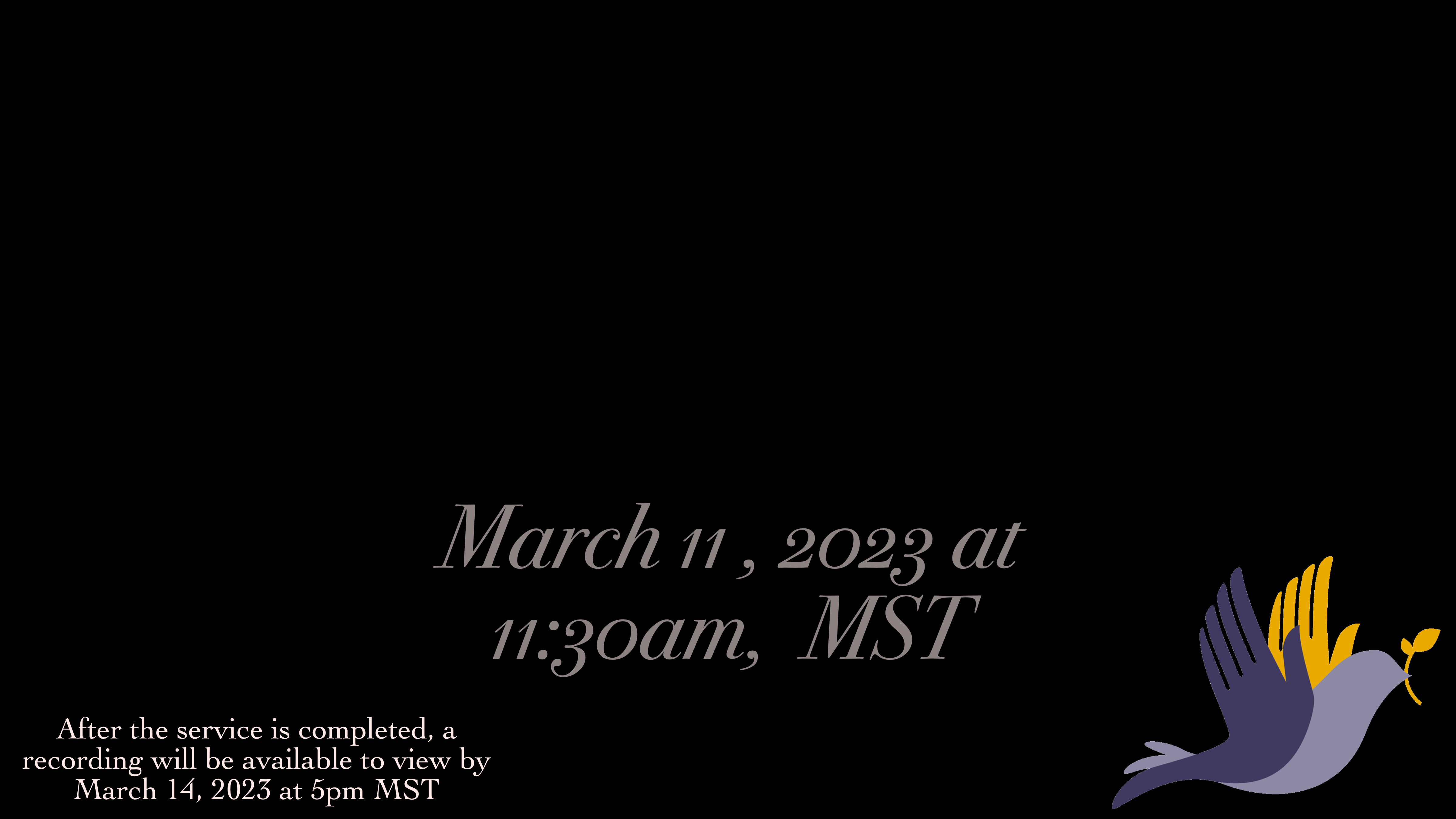 Eric Babin Livestream