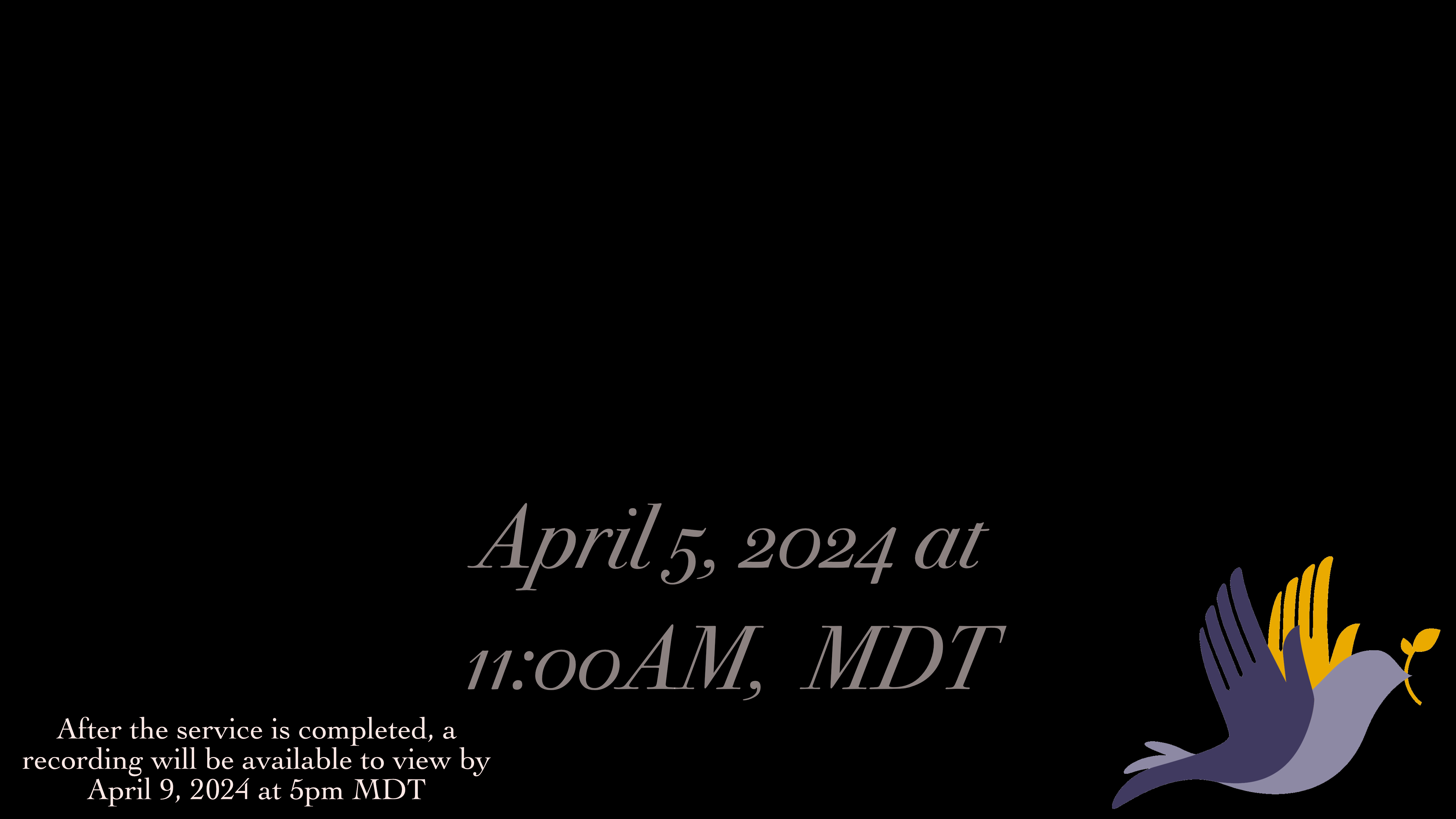 View Steven Thibodeau Livestream