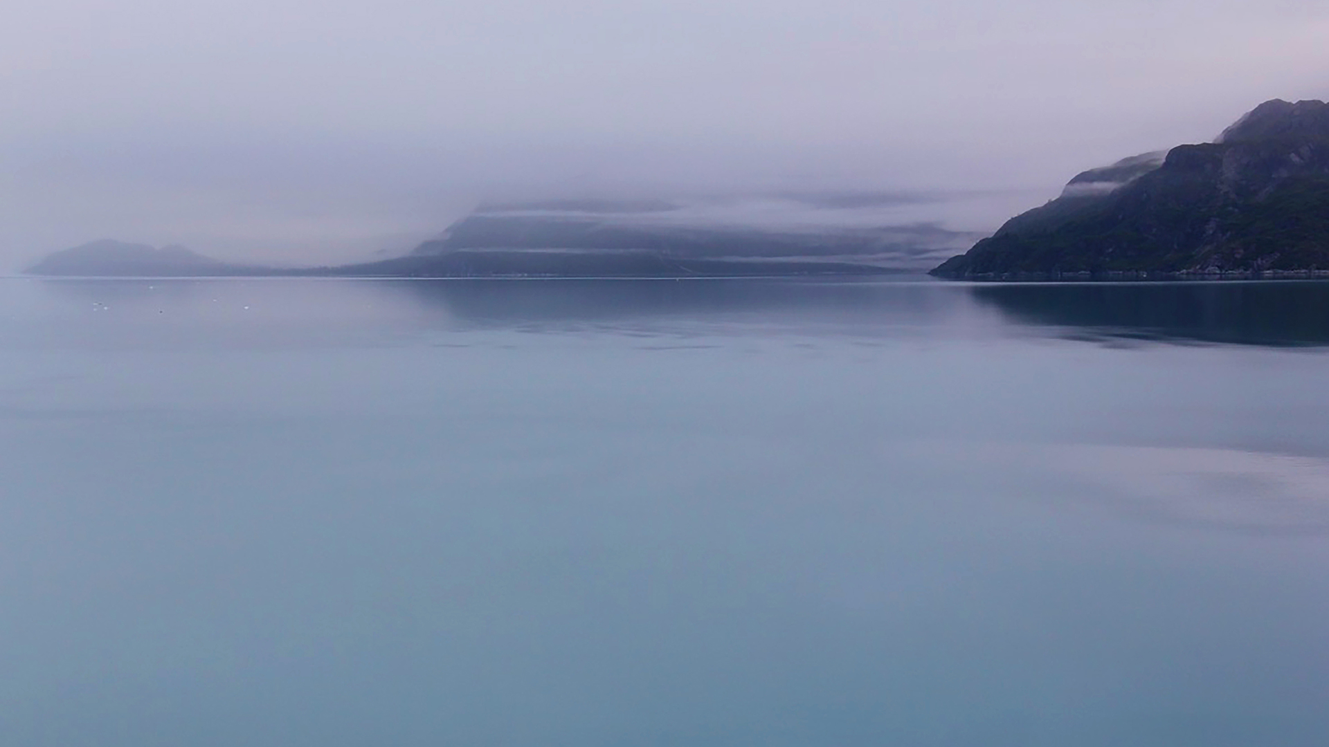 Celebrating the Life of Steve Hammer