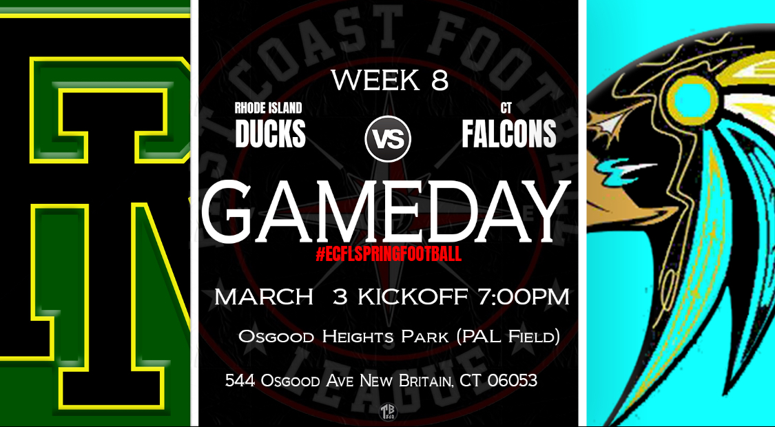 DUCKS VS FALCONS