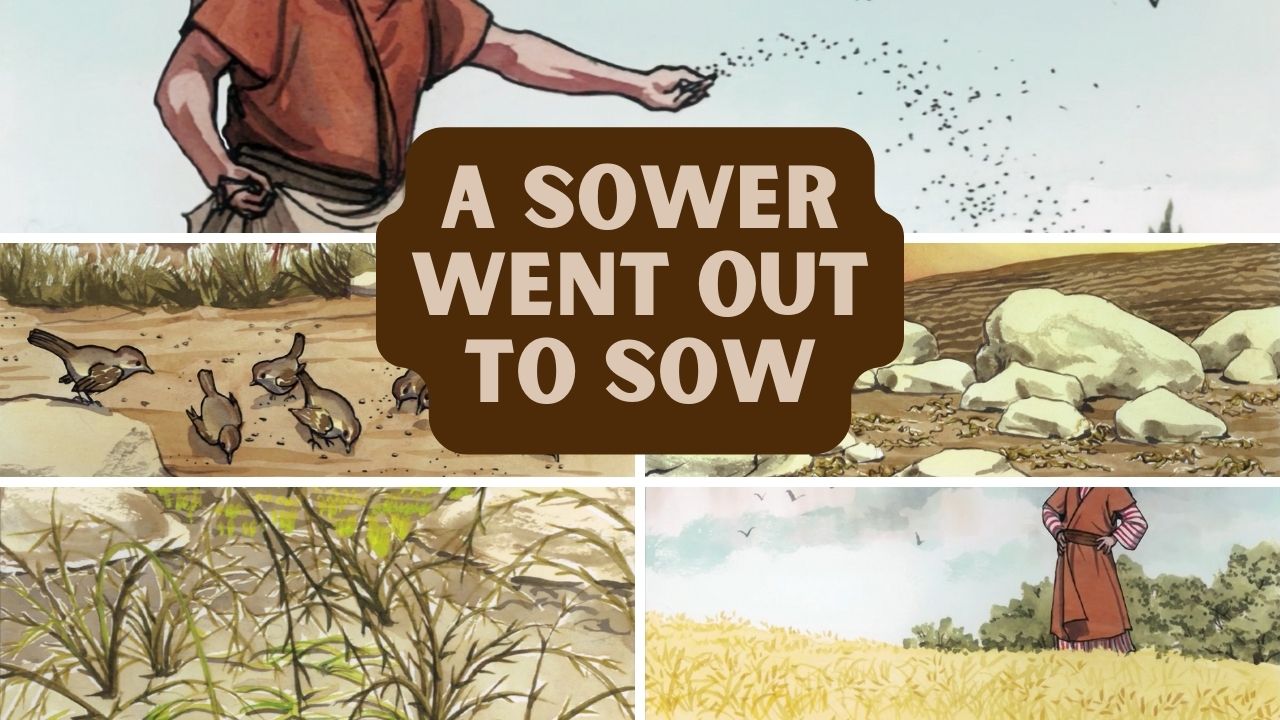 A Sower Went to Sow