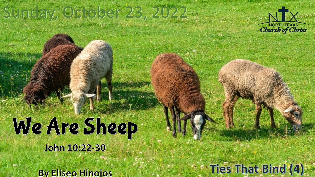 Sunday, October 23, 2022 "We Are Sheep" John 10:22-30