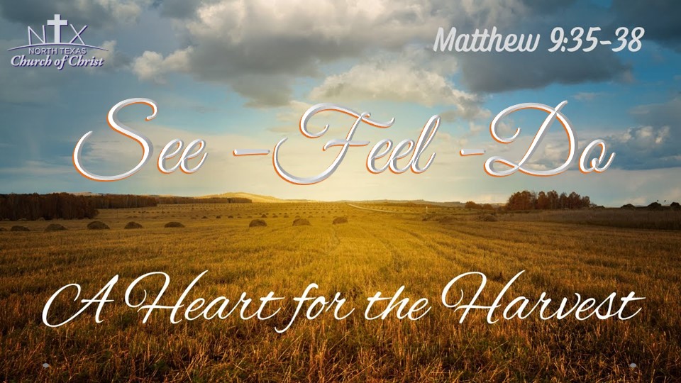 Sunday, December 31, 2023 "See-Feel-Do" Matthew 9:35-38