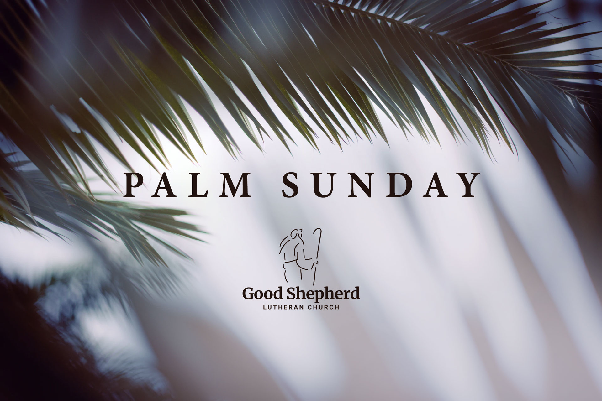 Palm Sunday 9:00 a.m. Worship | Sunday, April 2, 2023