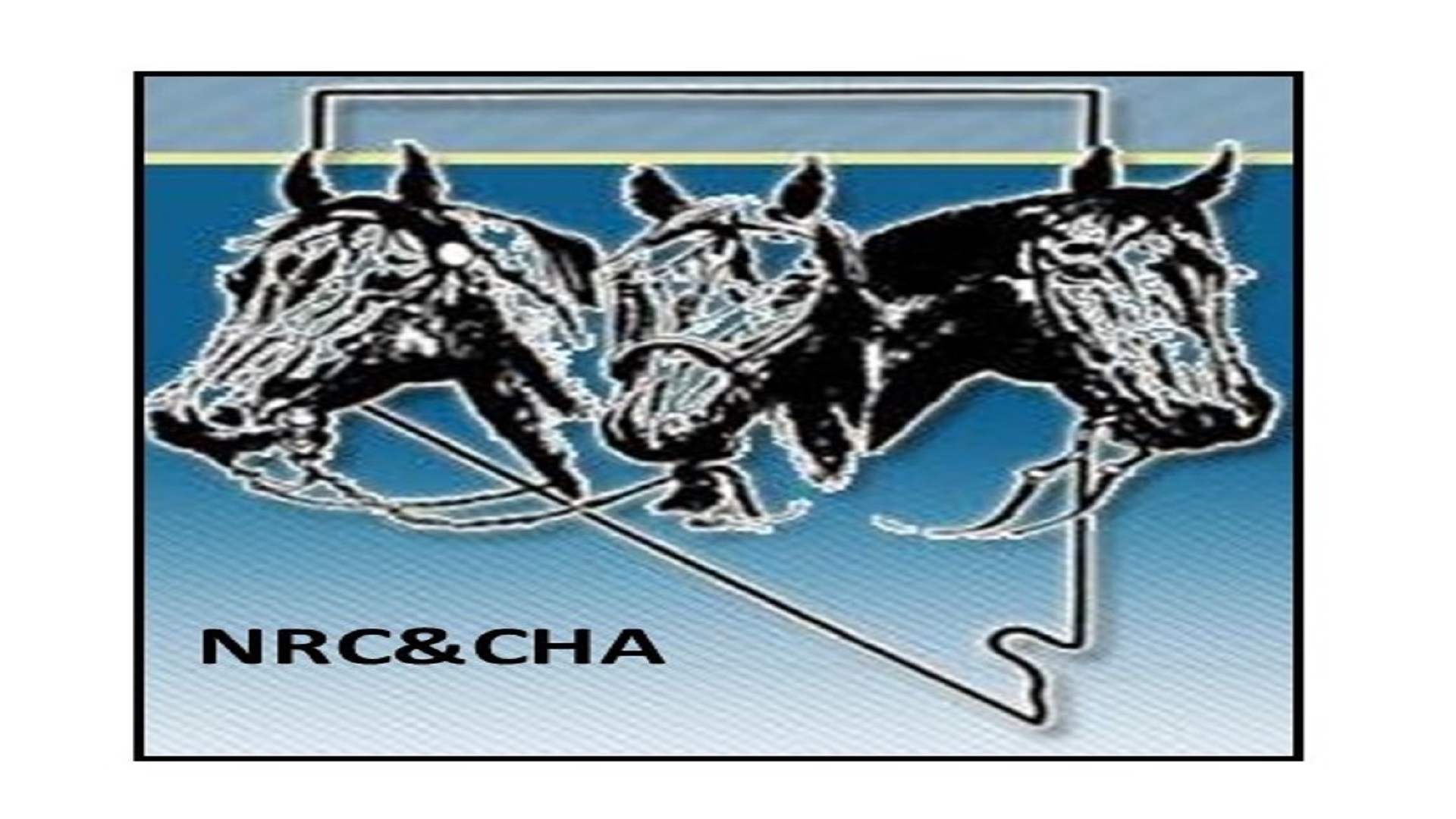 Broadcasts for Kicking S Video