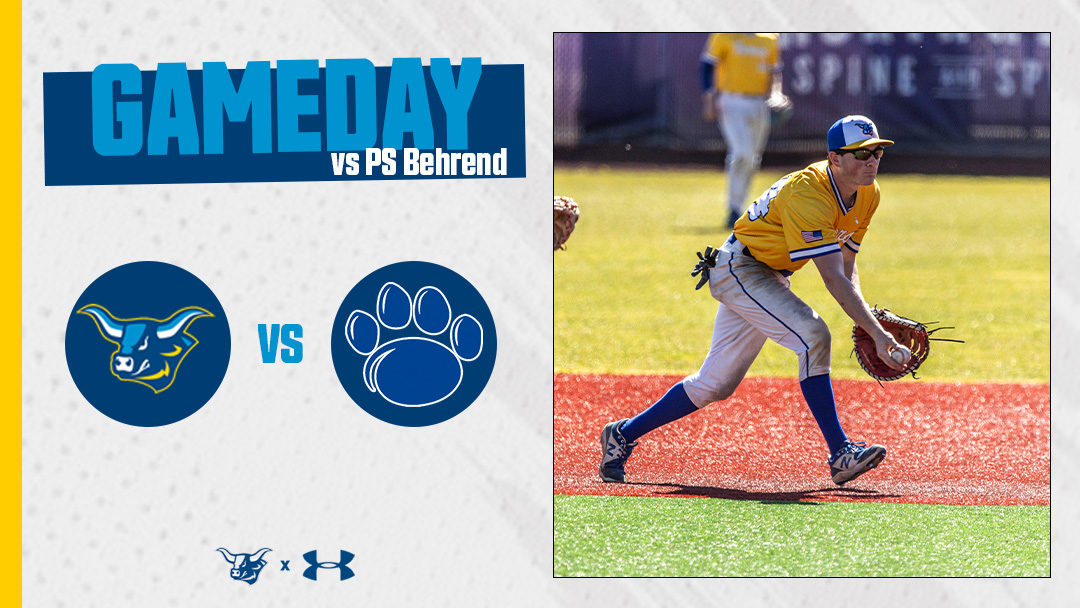 Baseball DH vs Behrend