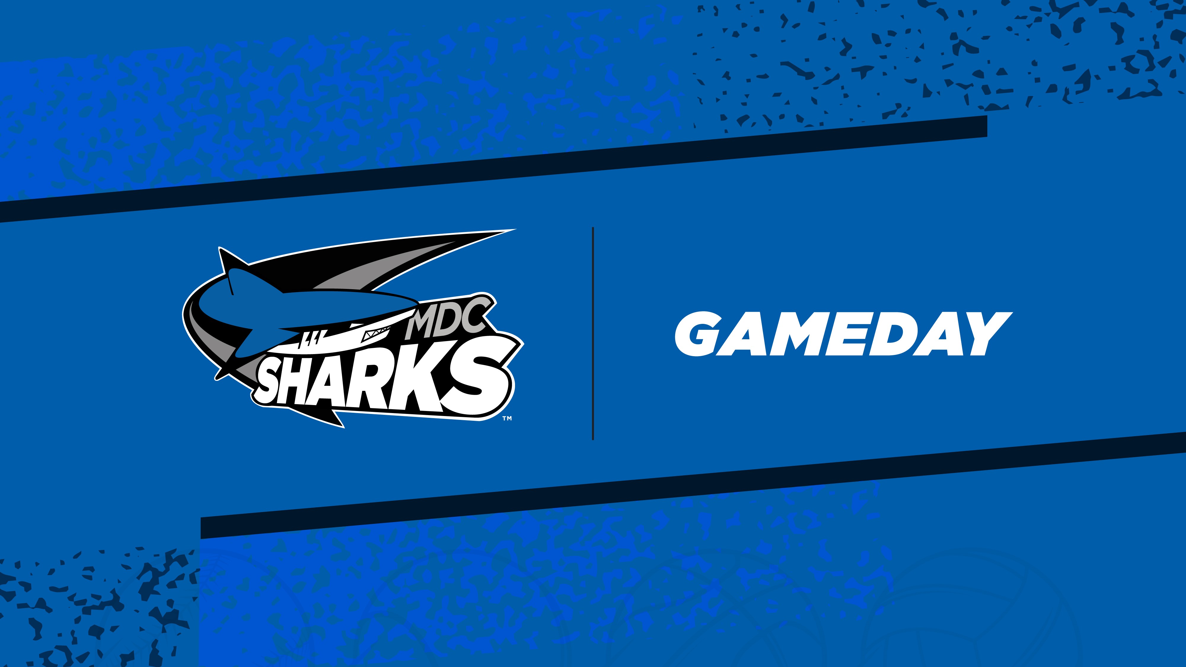 MDC Baseball vs. Pensacola State College