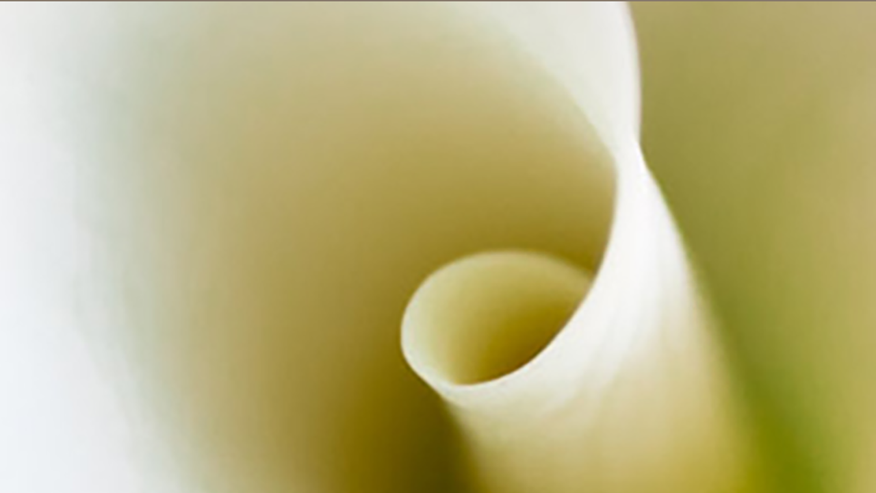 Burch Mixon Memorial Service