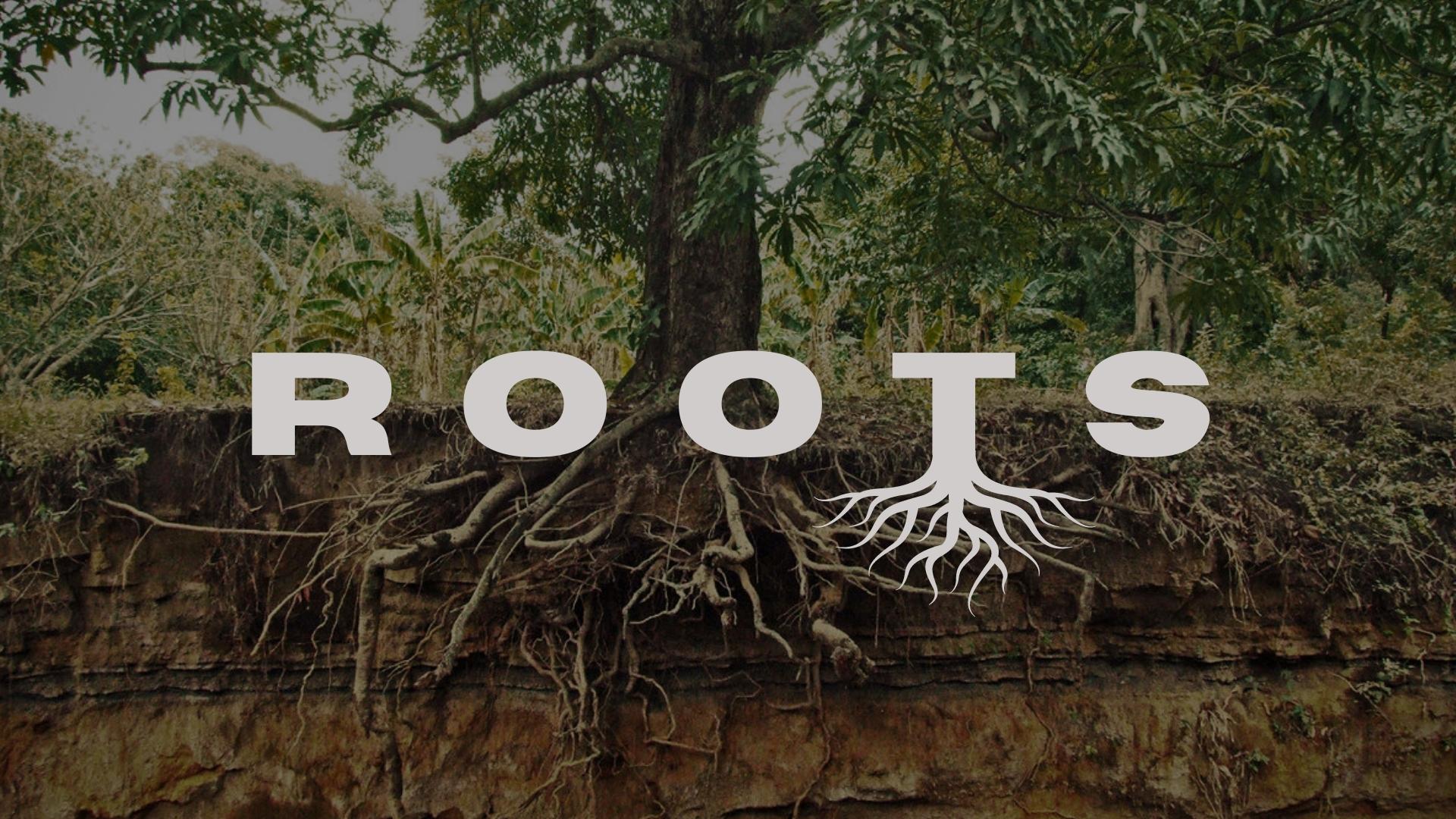 Roots