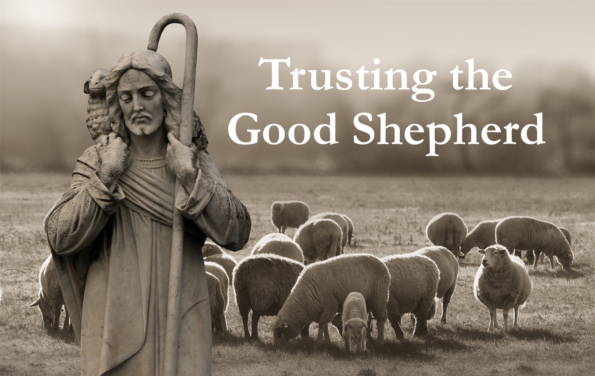 Trusting the Good Shepherd