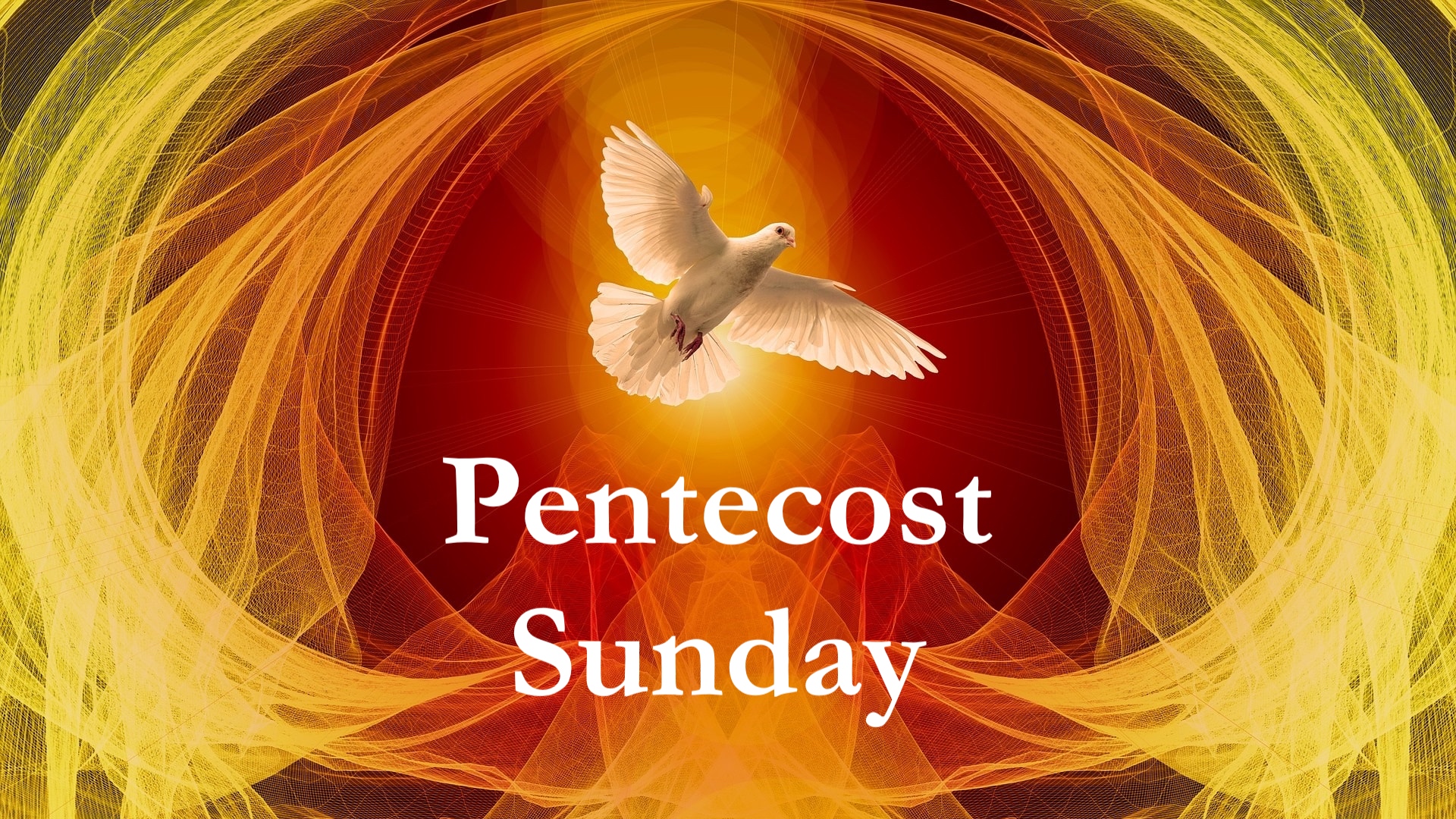 Pentecost Sunday 2024 - Luis Torres